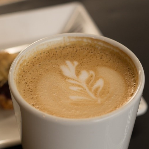 Frothy Mocha – American Grasslands